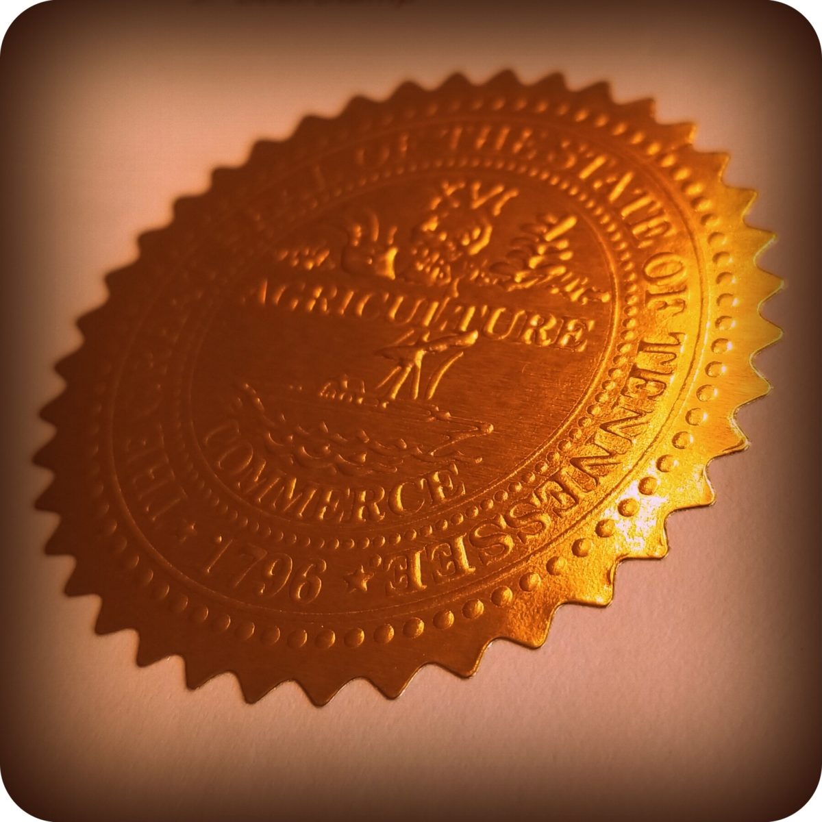 3 Easy Steps to Apostille a Power of Attorney in Spanish, Correctly